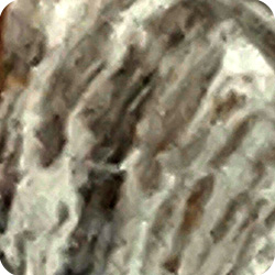 Ohio Flint - Heather Canyon Lapidary and Gemstone