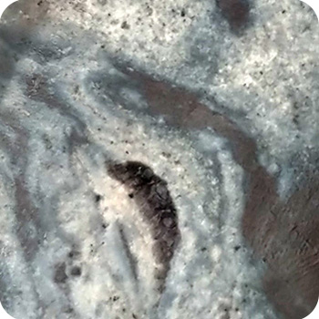 Hickoryite - Banded Rhyolite - Heather Canyon Lapidary and Crystals