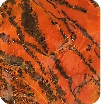 Yellow Feather Jasper - Heather Canyon