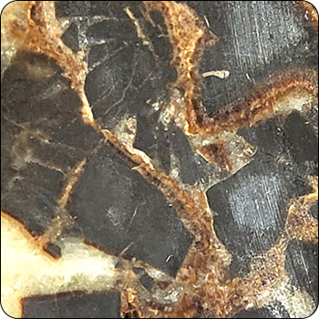 Septarian Concretions / "Dragon Eggs" / Septarian Nodules Archives ...