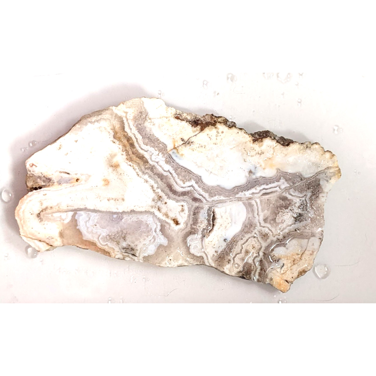 Sowbelly Agate Archives - Heather Canyon