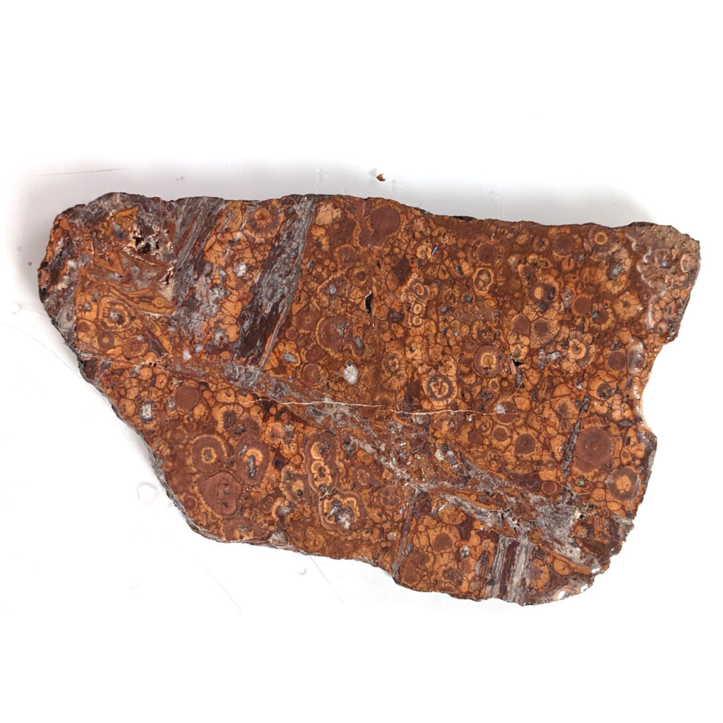 Birds Eye Rhyolite Archives - Heather Canyon