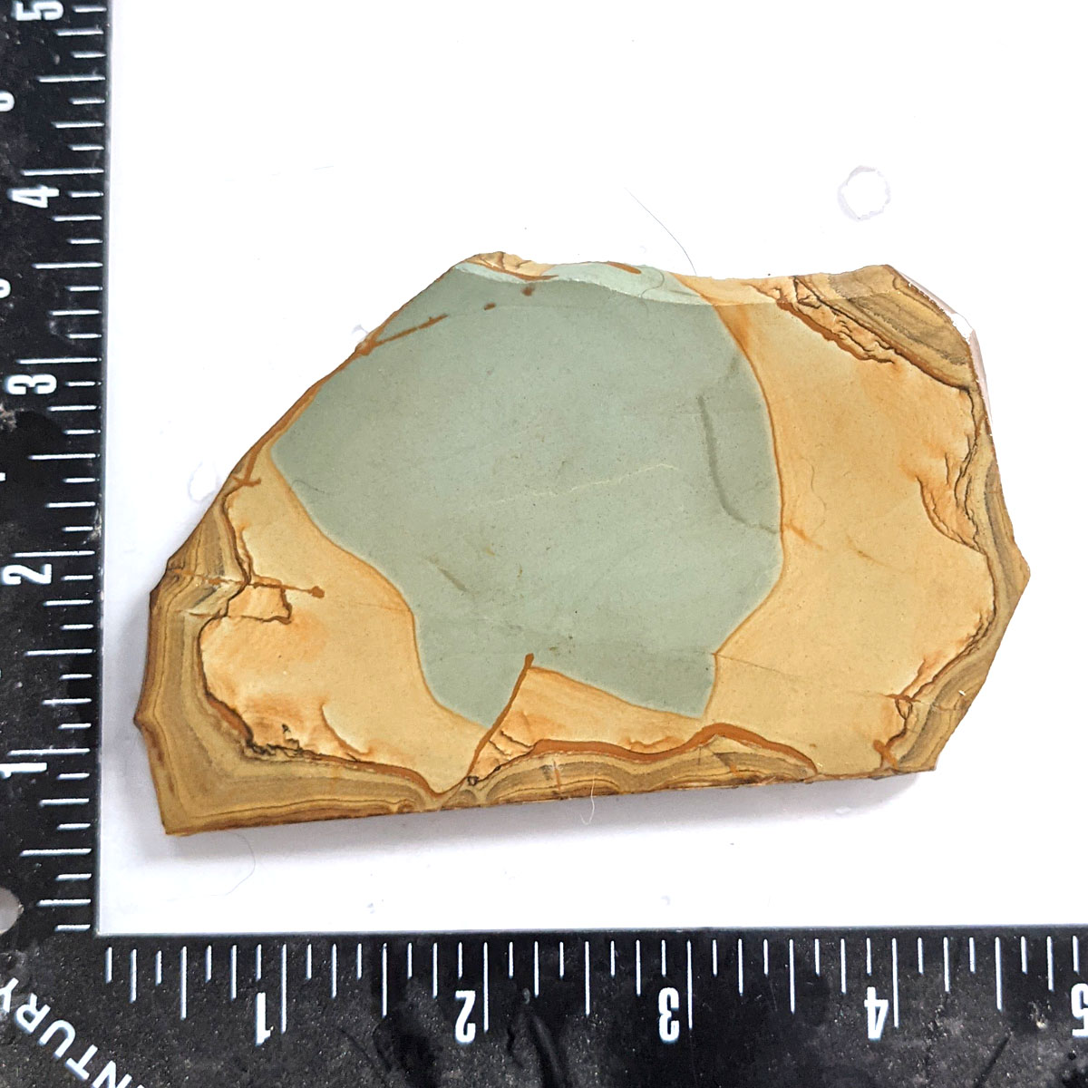 Picture Jaspers Archives - Heather Canyon