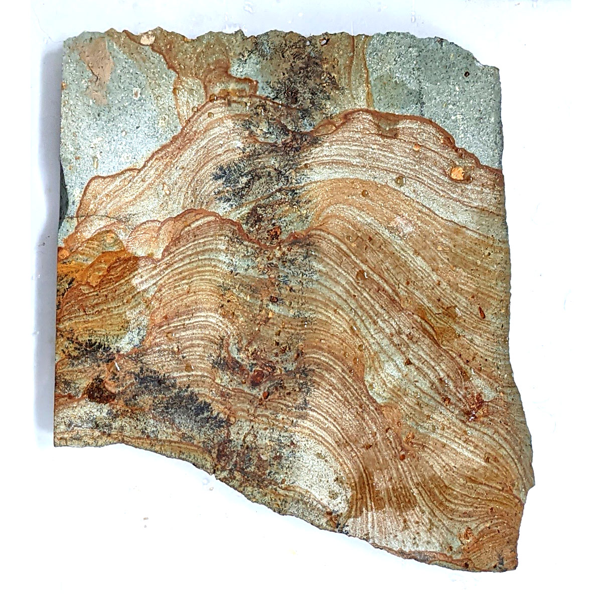 Picture Jaspers Archives - Heather Canyon