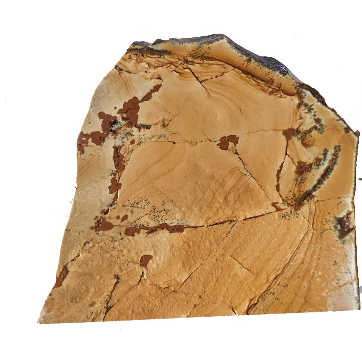 Picture Jaspers Archives - Heather Canyon