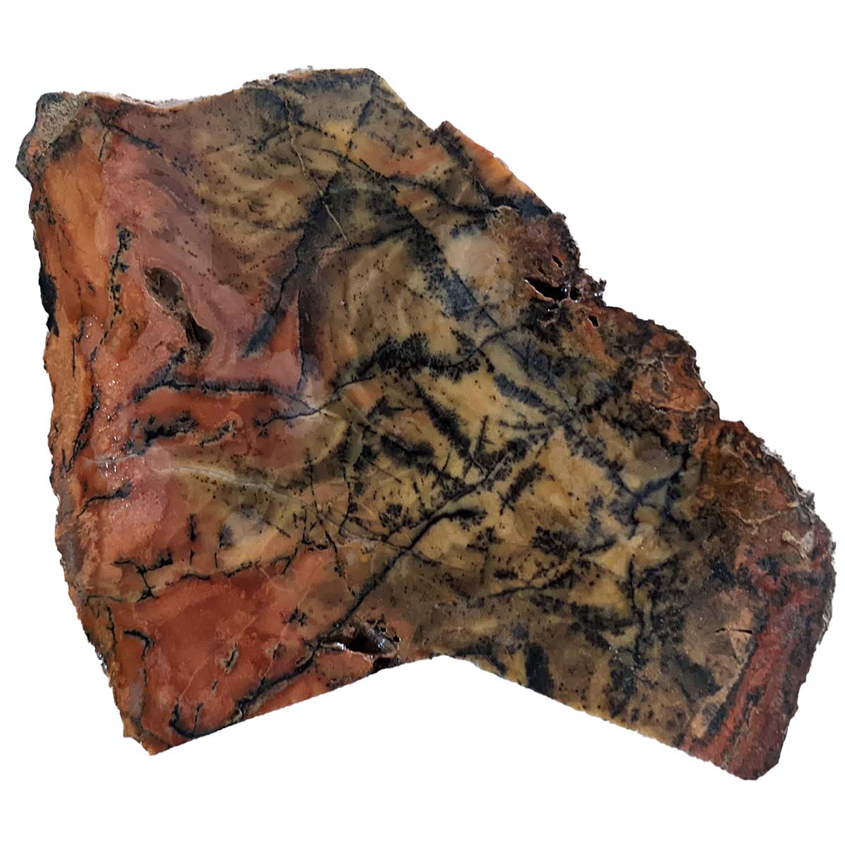 Home Page - Heather Canyon